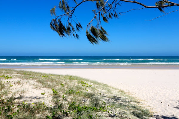 Salt Beach, Casuarina - where luxury and nature meet by the ocean ...
